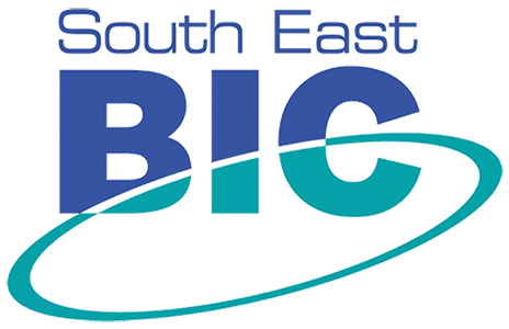 BLUEPOINT PROJECT: Partners