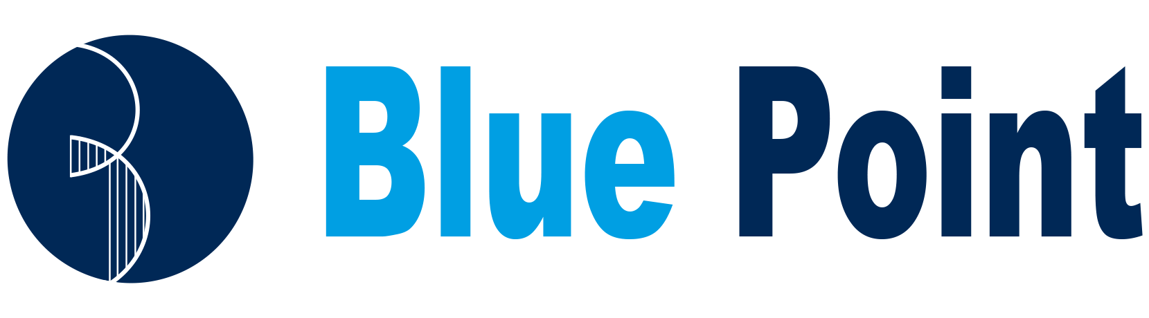 BLUEPOINT PROJECT: Partners